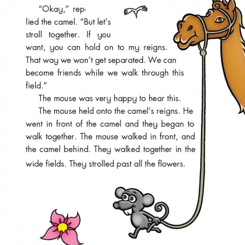 The Camel And The Mouse – Noor Books